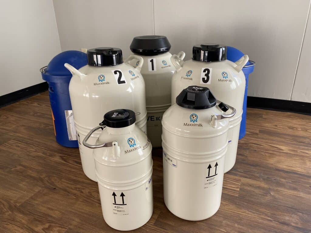 Dairy Cattle Management | Dairy farm Setup | Milk Production